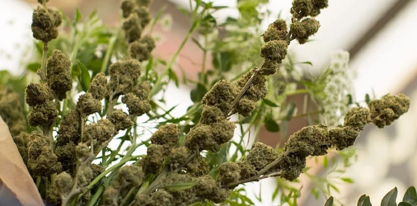 This Super Stoney Weed Bouquet Is The Ultimate Valentine's Day Gift - Maxim