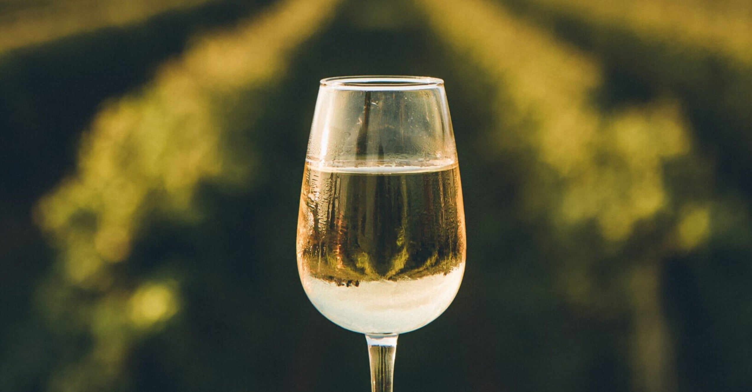 7 Great Riesling Wines To Try Now - Maxim