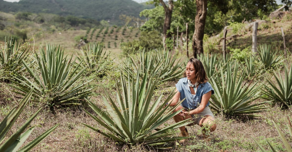 Explore The Art Of Mezcal-Making At This Stunning Mexican Jungle Resort ...