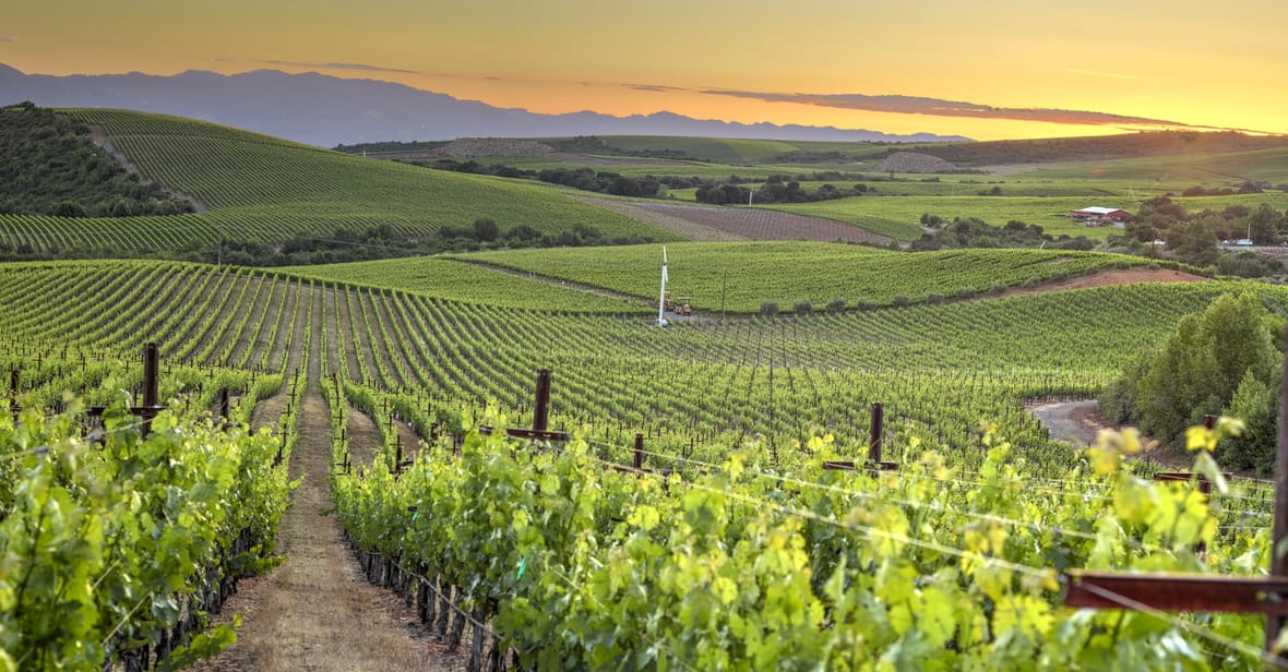 How To Taste Wine Like A VIP In Napa Valley This Fall - Maxim