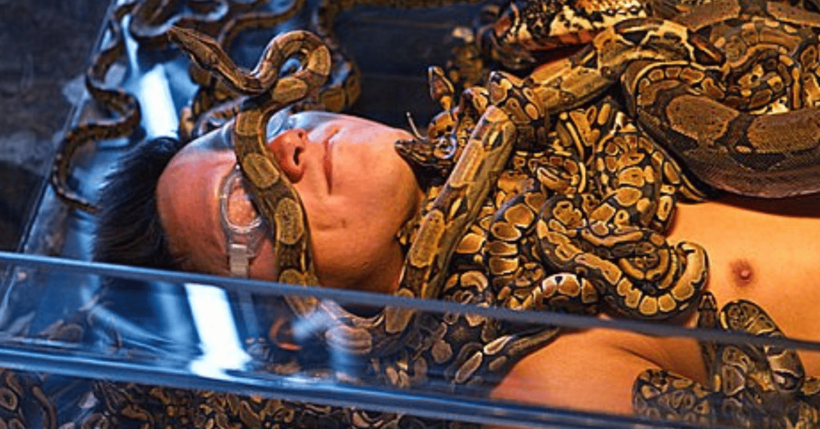 Fear Factor Is Coming Back So Get Ready To Lose Your Lunch All Over Again Maxim 2129