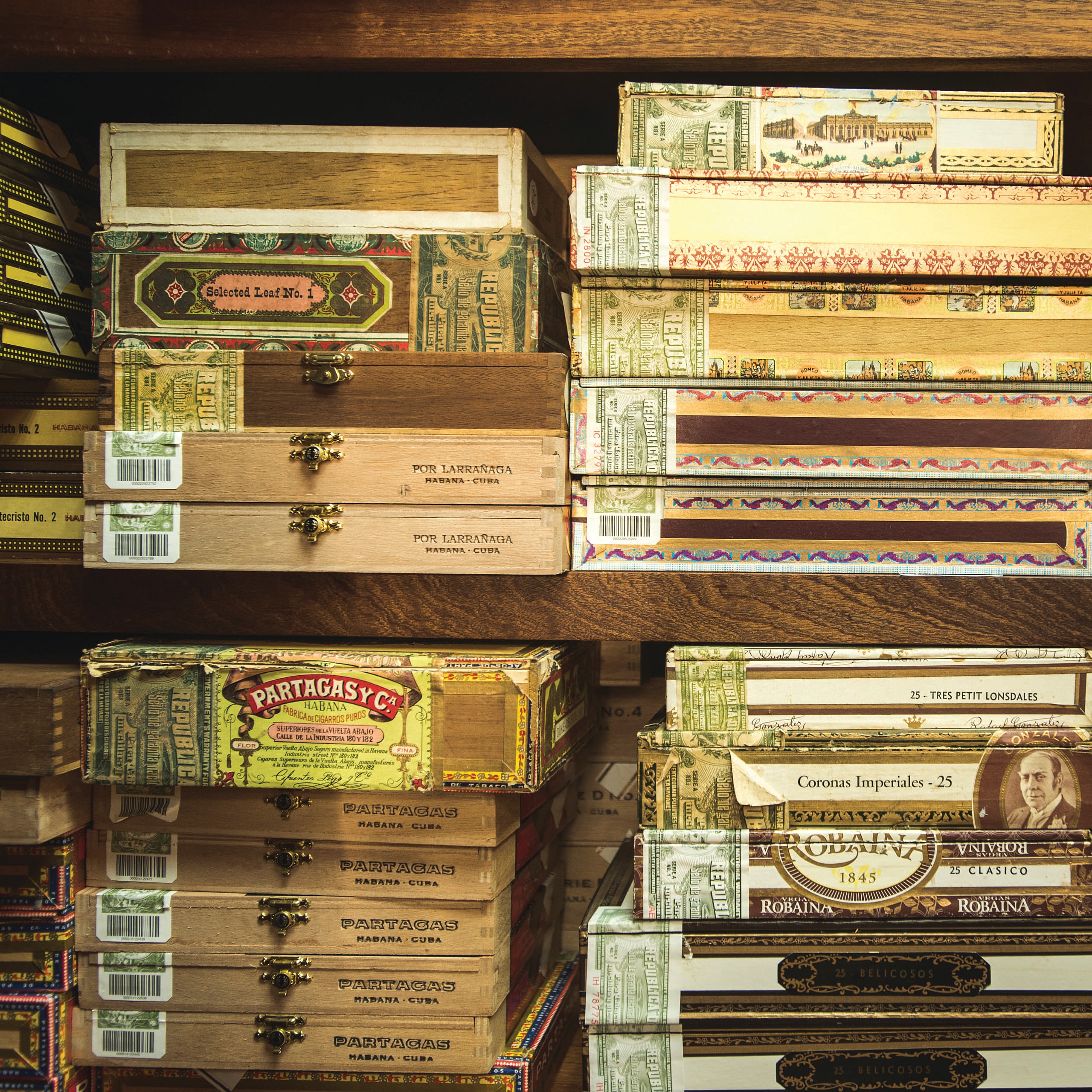 How to Age, Store and Collect Fine Cigars - Maxim