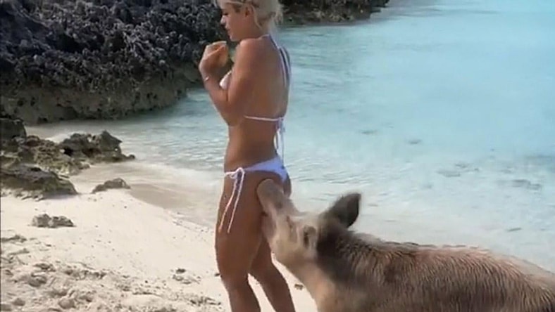 michelle lewin beach