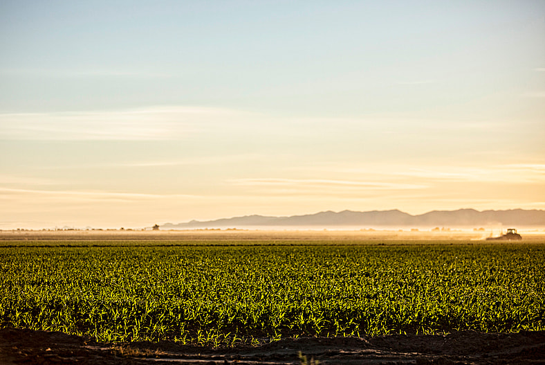 Spirit Of The Week: Frey Ranch Second Harvest Whiskey - Maxim