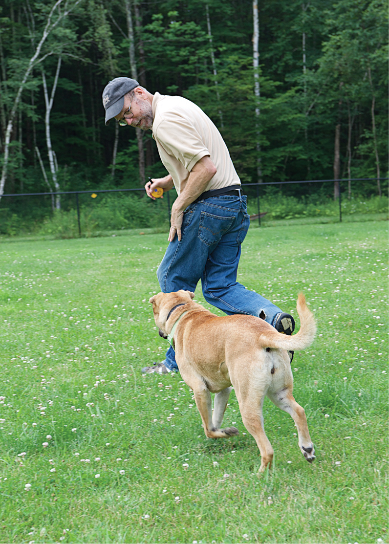 3 Common Dog Training Problems And How To Solve Them Maxim