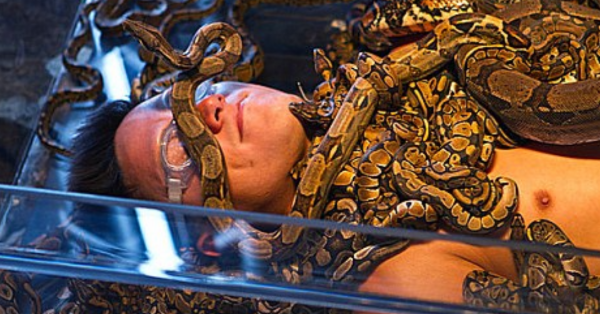 Fear Factor Is Coming Back So Get Ready To Lose Your Lunch All Over Again Maxim 3709