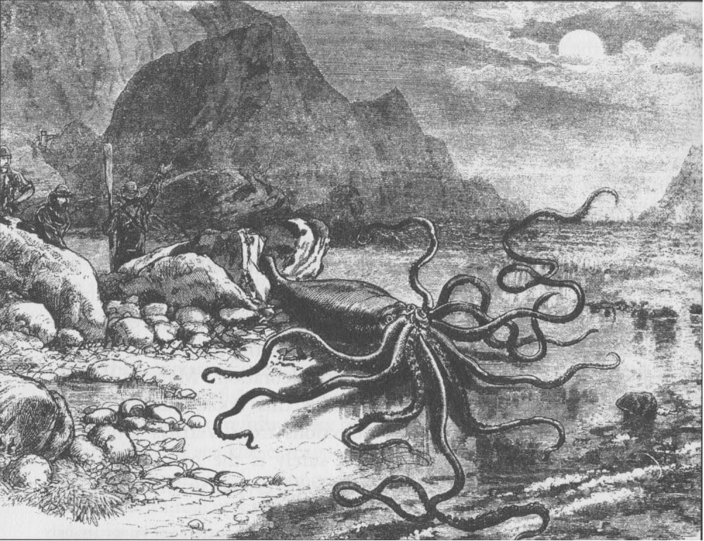 Watch A Rare Look At A Real Sea Monster Maxim