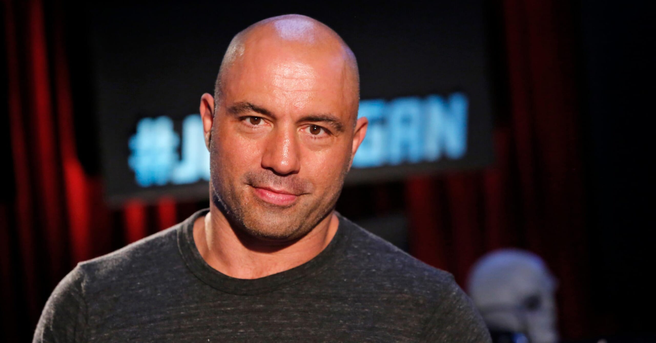 Joe Rogan Responds To His Eerily Accurate AI-Generated Robot ...