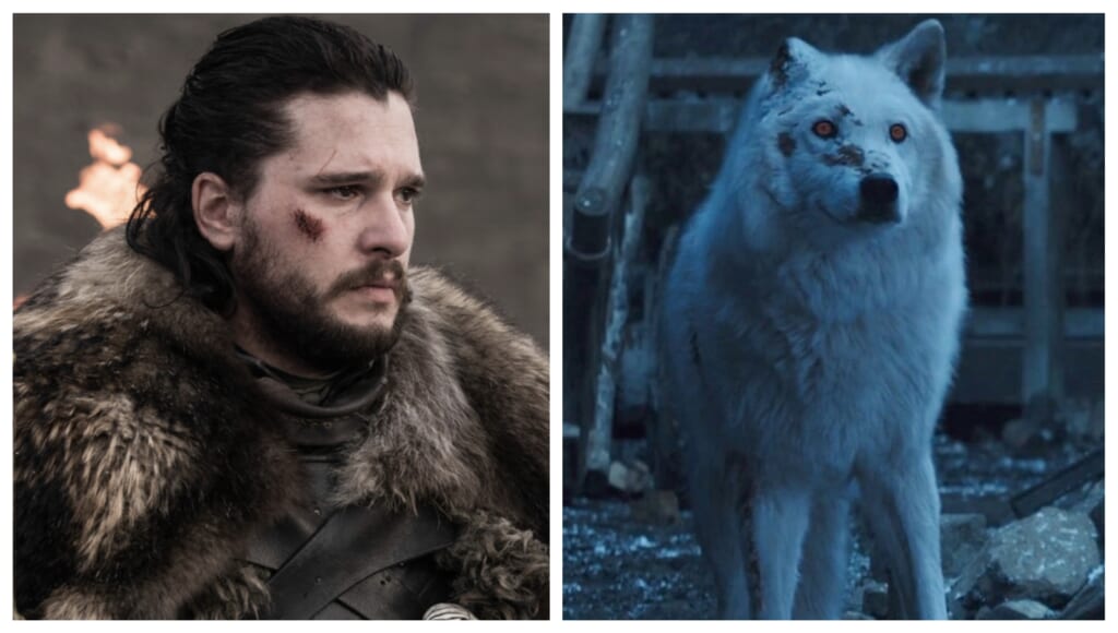 'Game of Thrones' Director Explains Why Jon Snow Didn't Pet Ghost When ...