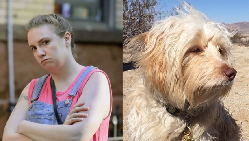 Lena Dunham Faces Internet Outrage After Returning Beloved Rescue Dog ...