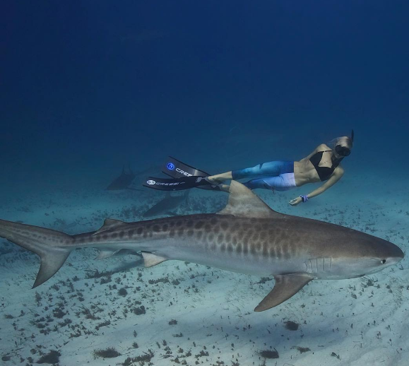 Ocean Ramsey Is The Beautiful Shark Defender You Need To Know About - Maxim
