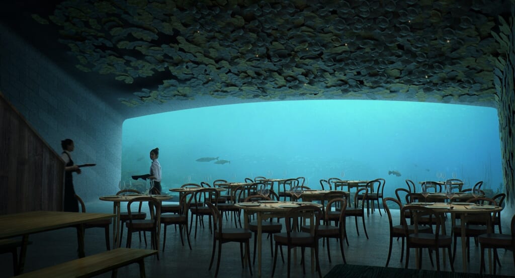 Dive Into These Mind-Blowing Pics of Europe's First Underwater ...