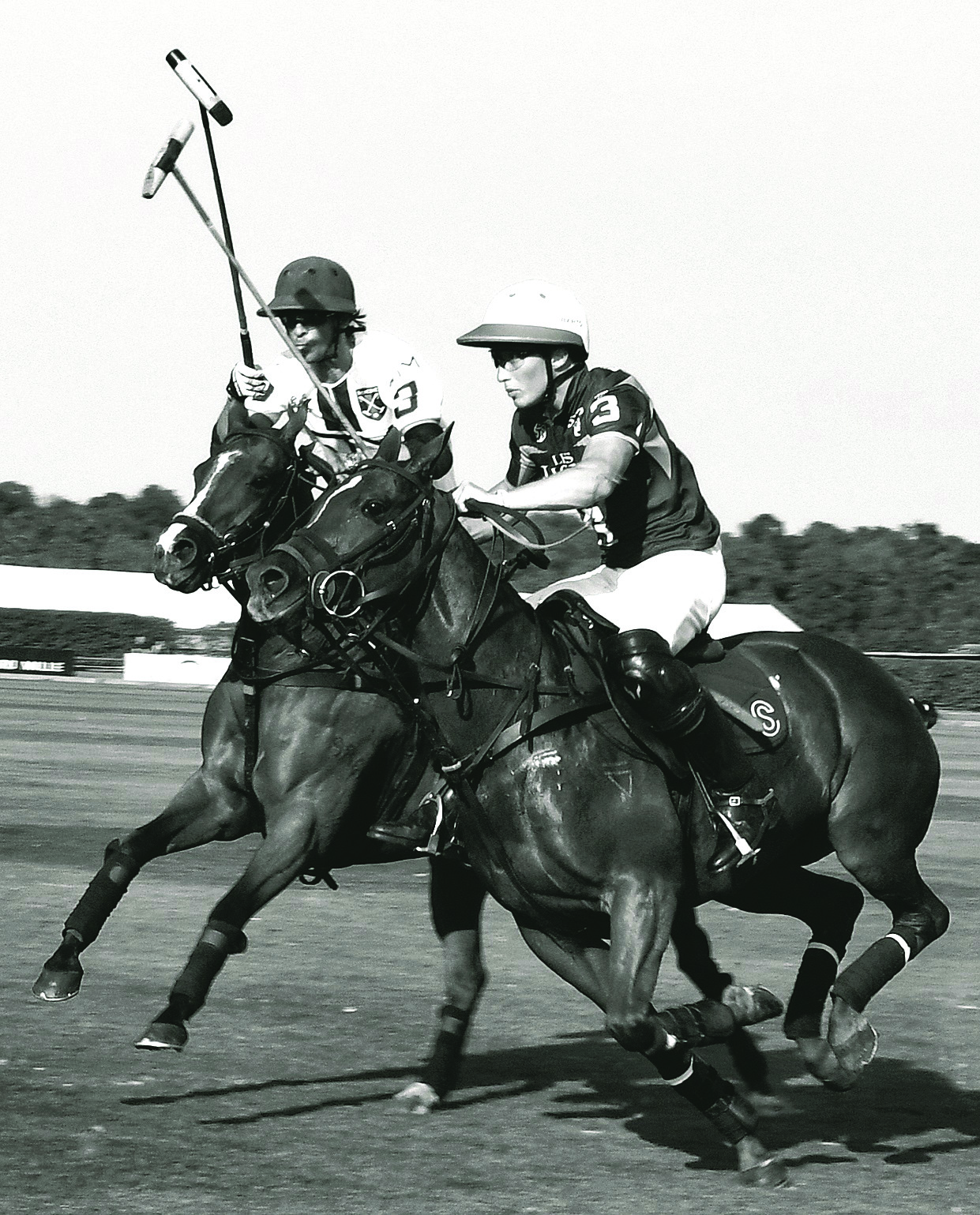 This Polo Photo Book Celebrates The Glory Of World's Most Elite Equine ...