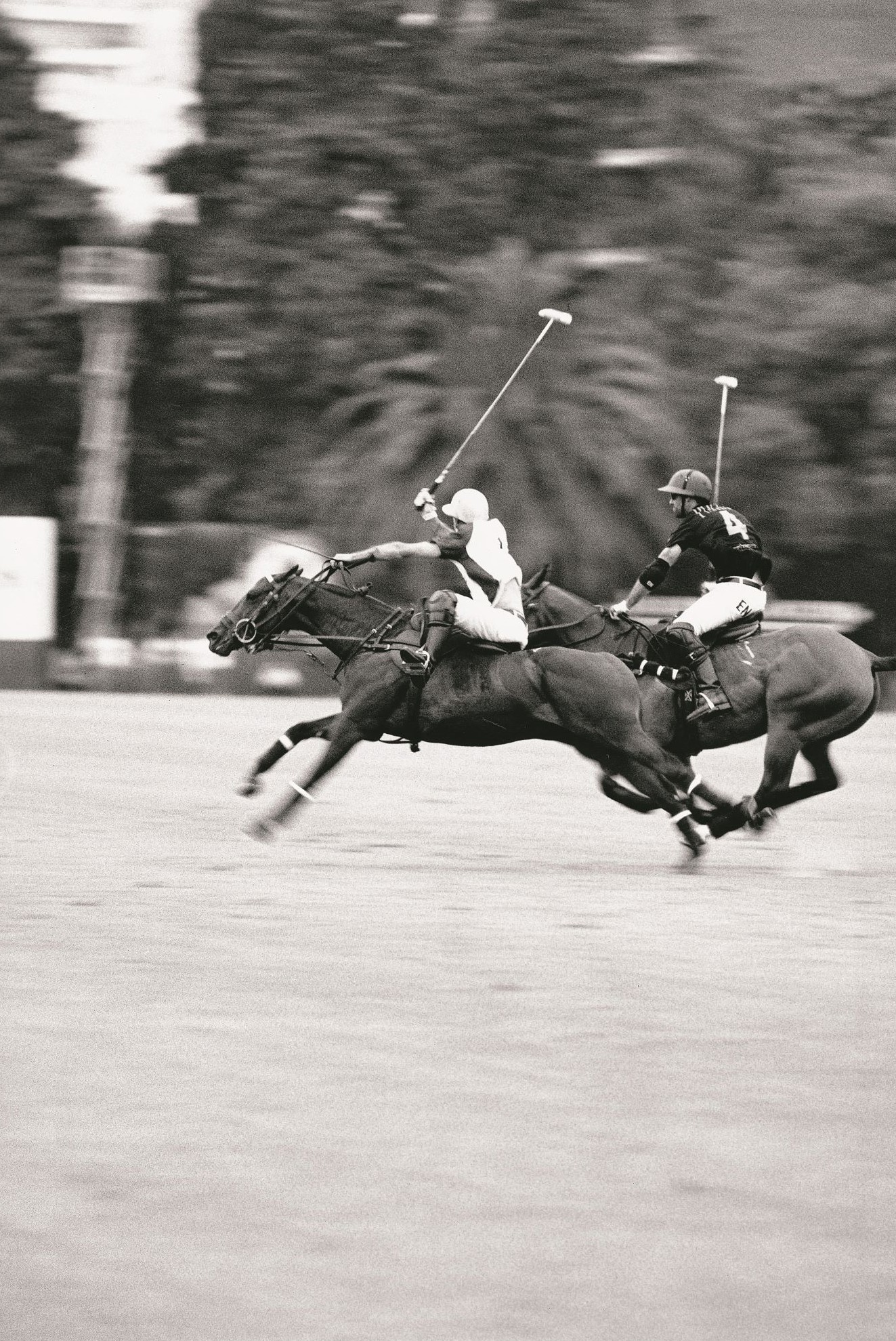 This Polo Photo Book Celebrates The Glory Of World's Most Elite Equine ...