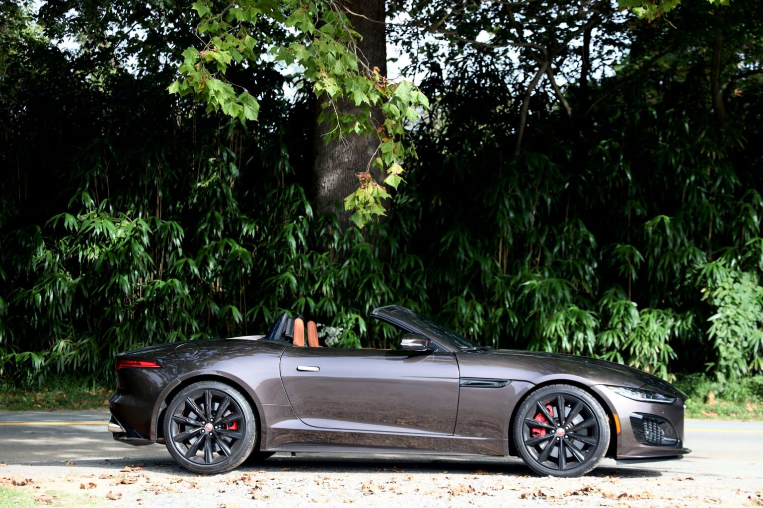 Jaguar F-Type R: First Drive Review - Maxim