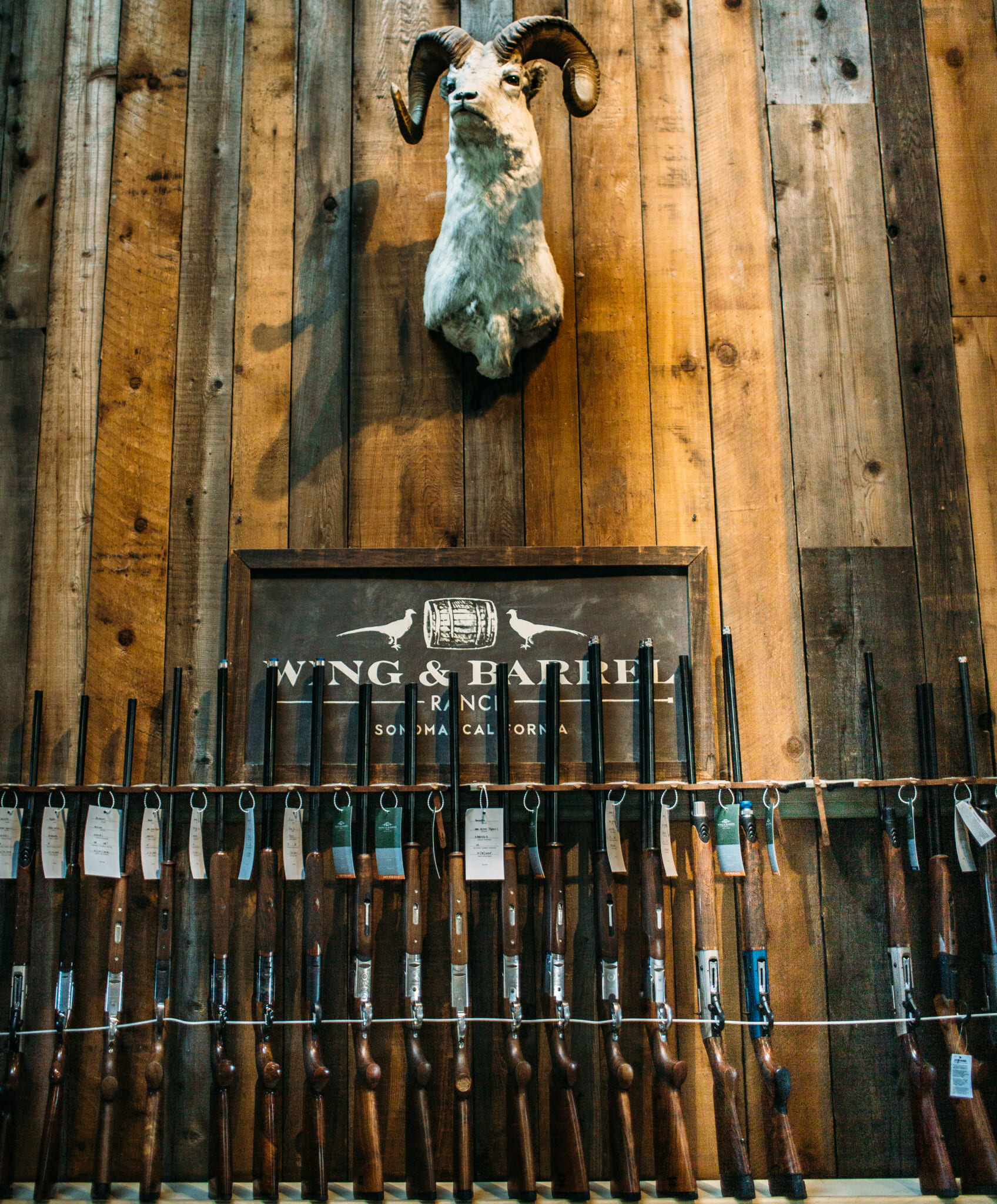 Inside Wing & Barrel Ranch-A Private Hunting Club in the Heart of ...