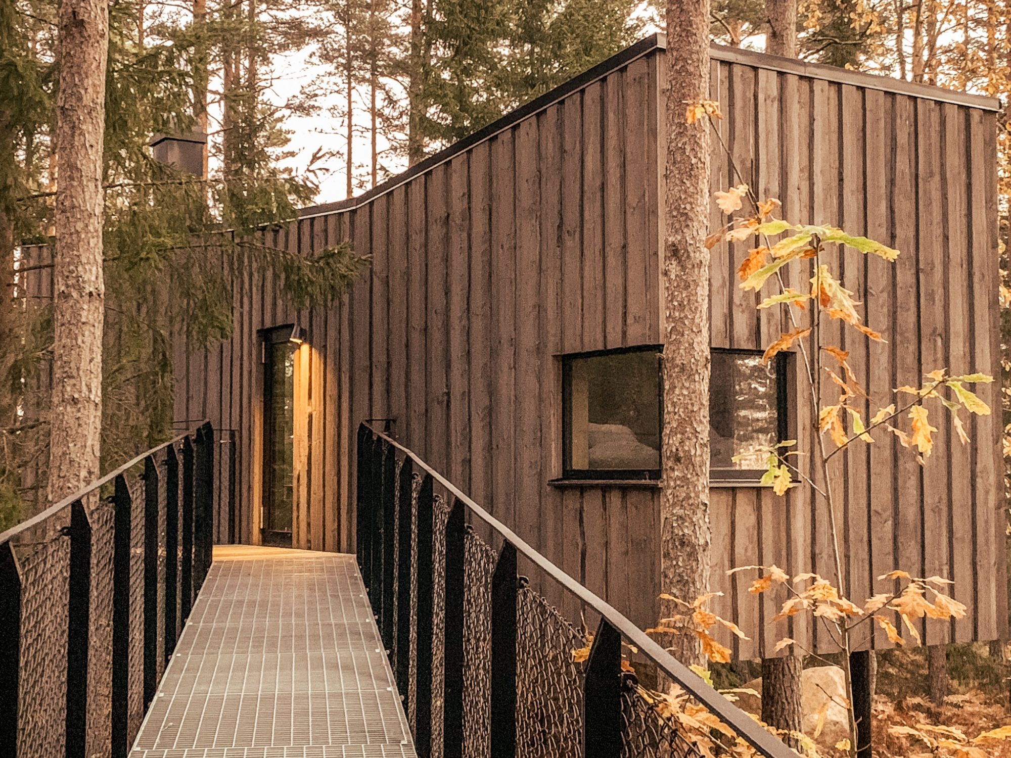 Sweden's Trakt Forest Hotel Is A Rustic Woodland Retreat - Maxim