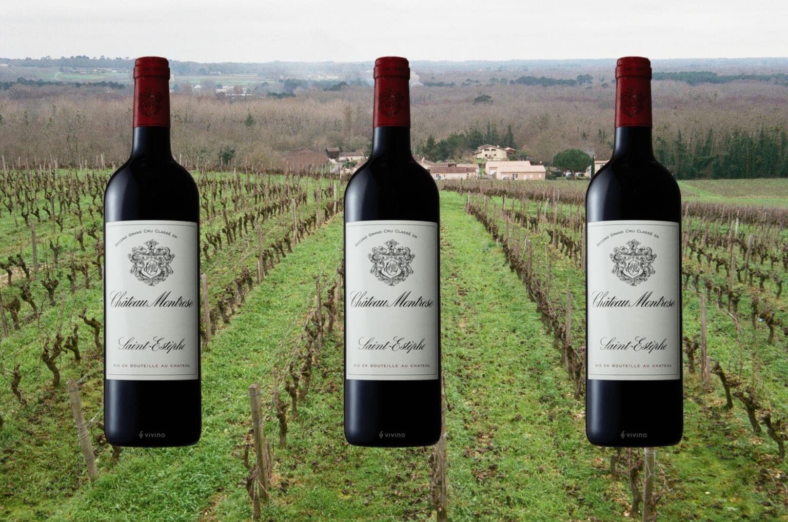 Wine Of The Week: Château Montrose Saint-Estephe 2016 - Maxim