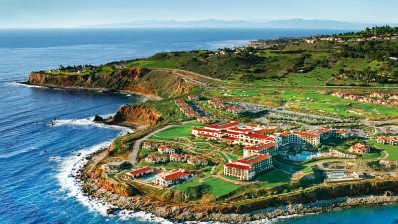 Ralph Grippo - Maxim