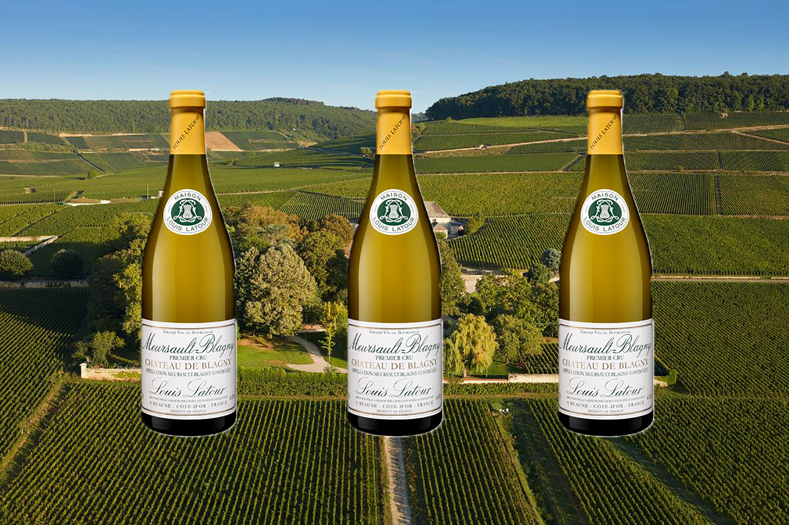 Wine Of The Week: Louis Latour Meursault 1er Cru Château de Blagny - Maxim